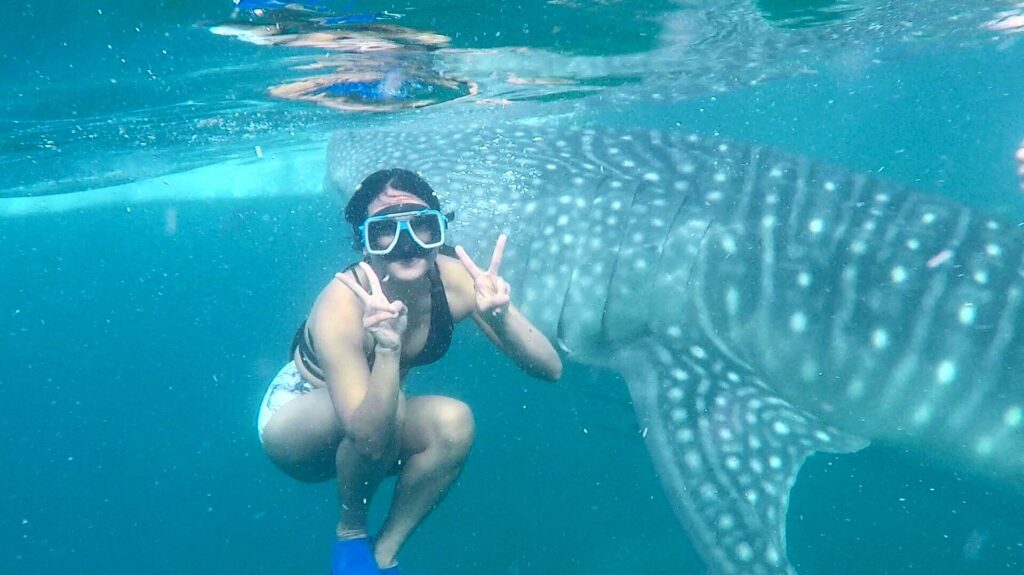 TOP 5 ที่เที่ยวเมืองเซบู~ - Mango Studycebu เรียนภาษาที่เซบู เรียนภาษาที่บาเกียว เรียนภาษาที่ ...